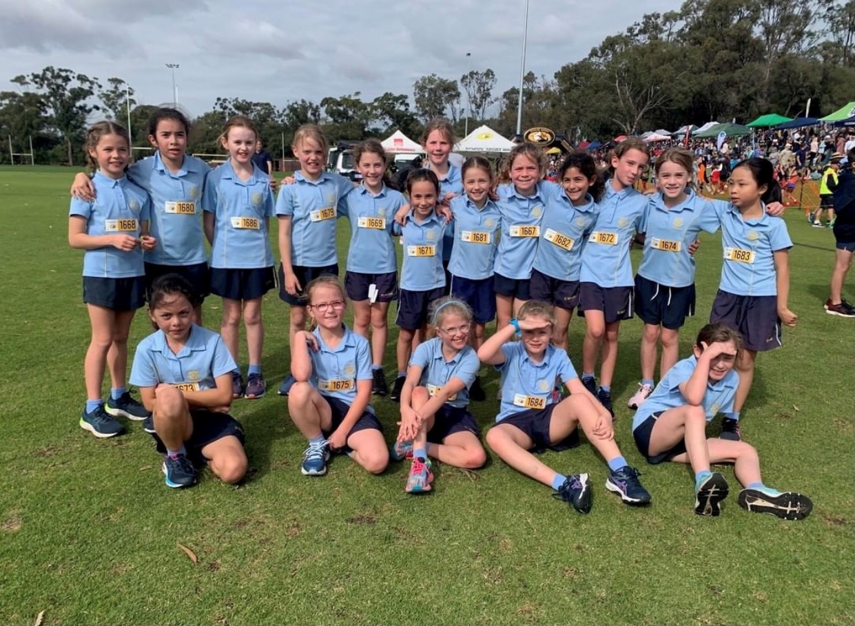 Online Shop - Paperly